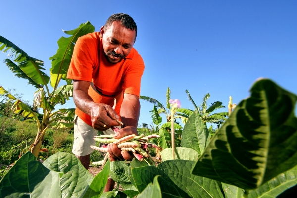 Jornal Somos - Linha de crédito focada no pequeno produtor rural goiano ...