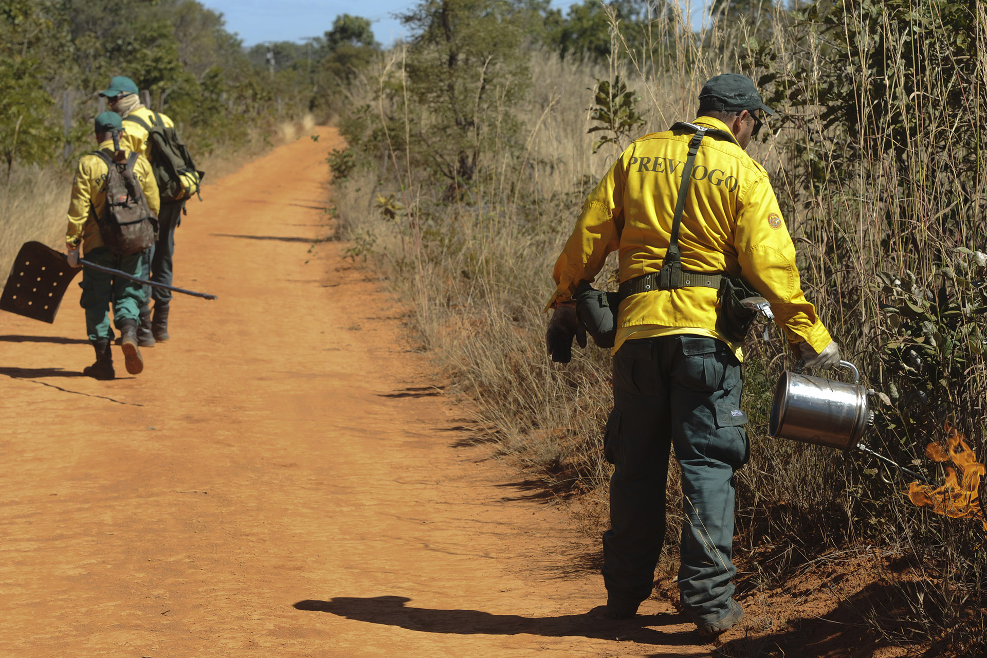 Jornal Somos - Instrução normativa regulamenta aceiros para evitar ...